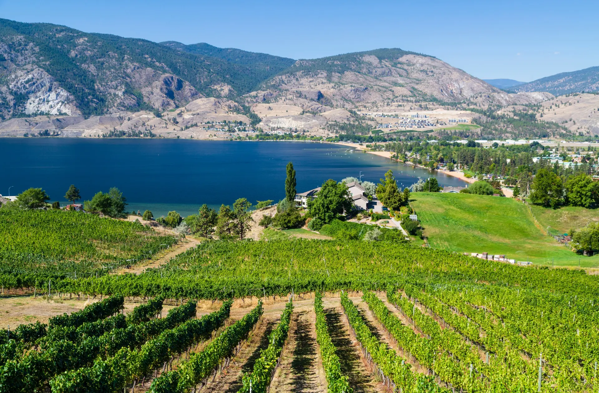 Okanagan Valley | BC Wine Authority